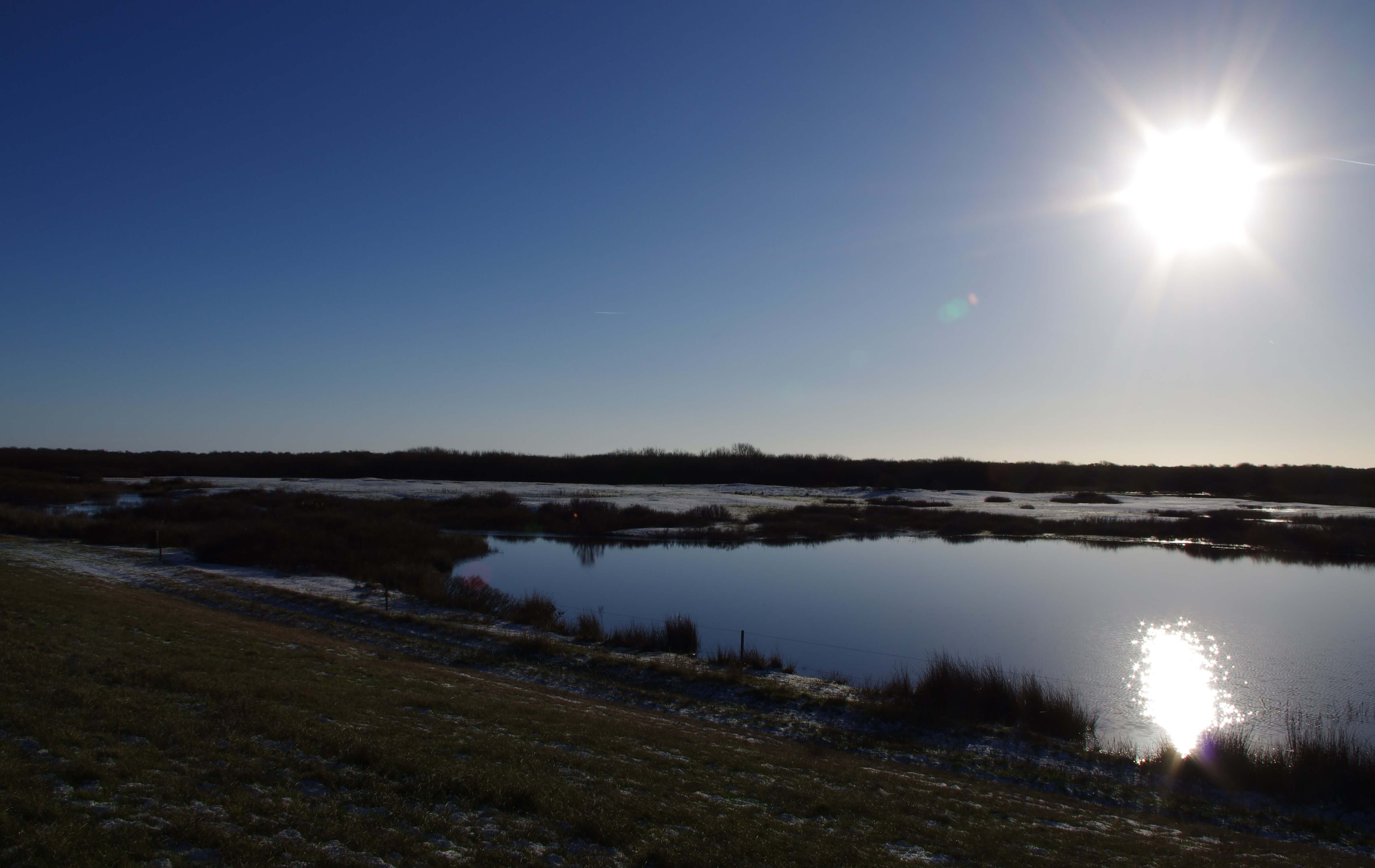 Westerplas op Schiermonnikoog - Waddenrust